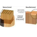 Density of Wood: Understanding Wood Density Among Various Wood Species ...